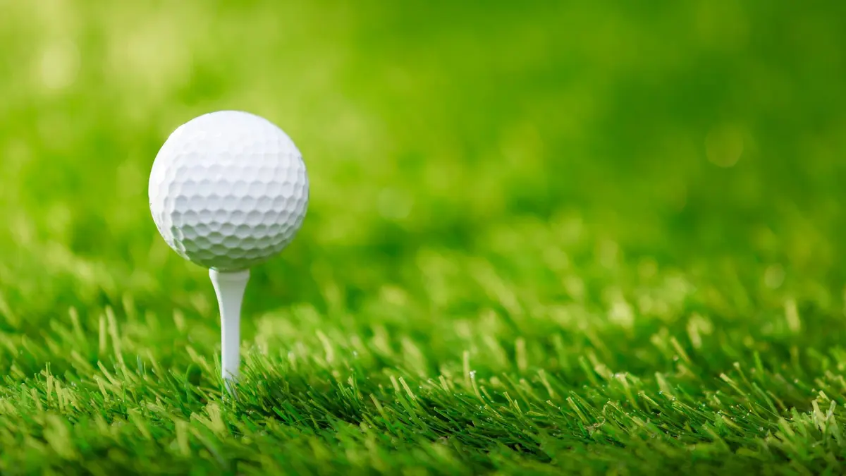2025 US Open Highlight Film - Documentaire sportif (2026)