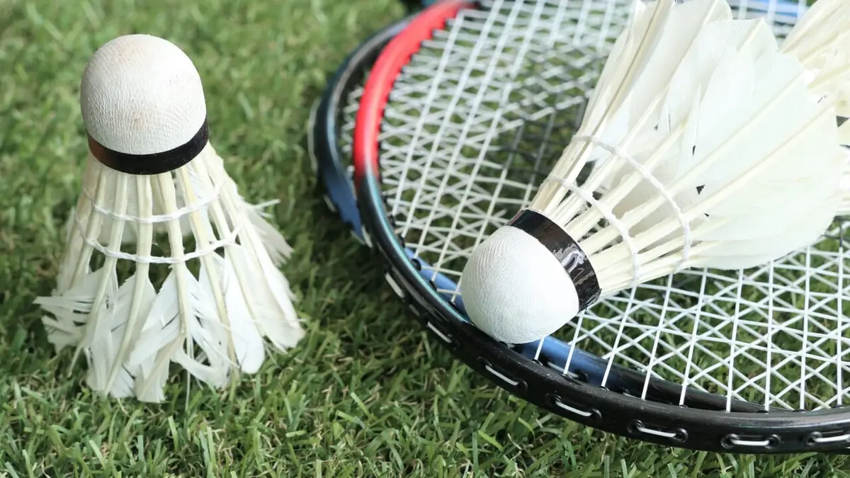 Toma Junior Popov - Christo Popov (Sport) où regarder TV, Replay, Streaming