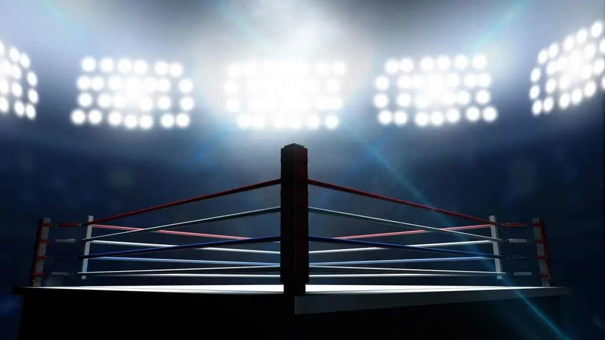 Biographies WWE S02E06 DX (Documentaire sportif) où regarder TV, Replay ...