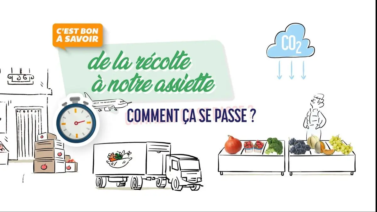 C'est bon à savoir De la récolte à notre assiette, comment cela se ...