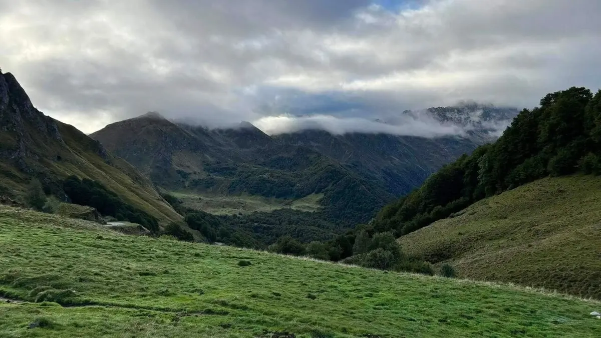 Chroniques d'en haut Véronique Jannot, la nature comme refuge ...