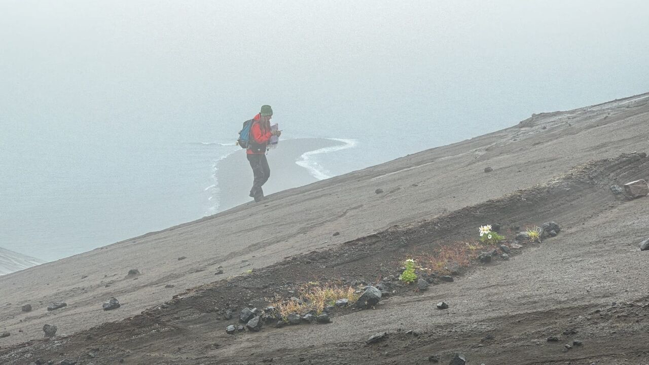 Du fond de l'océan une île nouvelle : Histoires de Surtsey - Documentaire (2025)