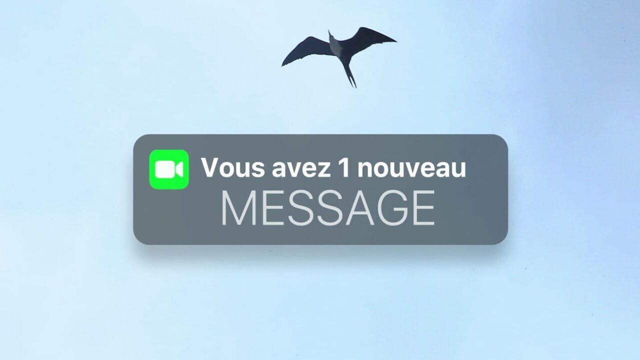 Vous avez un nouveau message S01E22 " Diab'-la ", de Joseph Zobel, lu ...