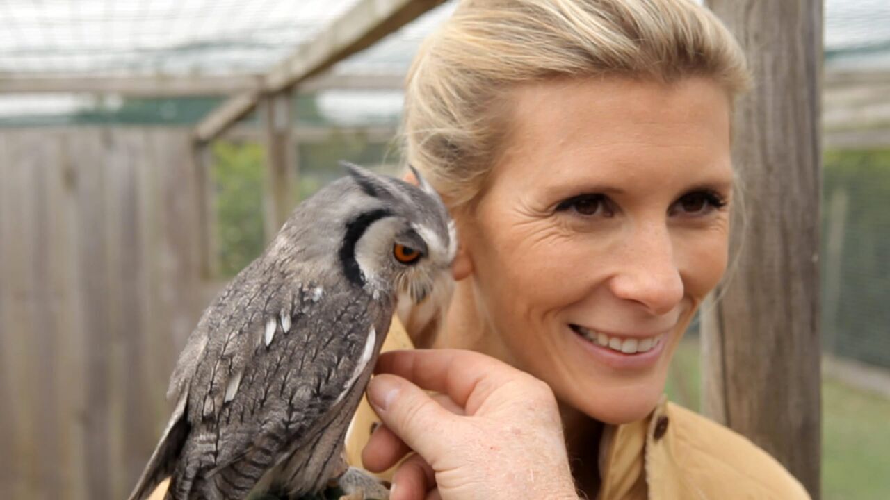 Hélène et les animaux Tout quitter pour les animaux - Documentaire (2014)