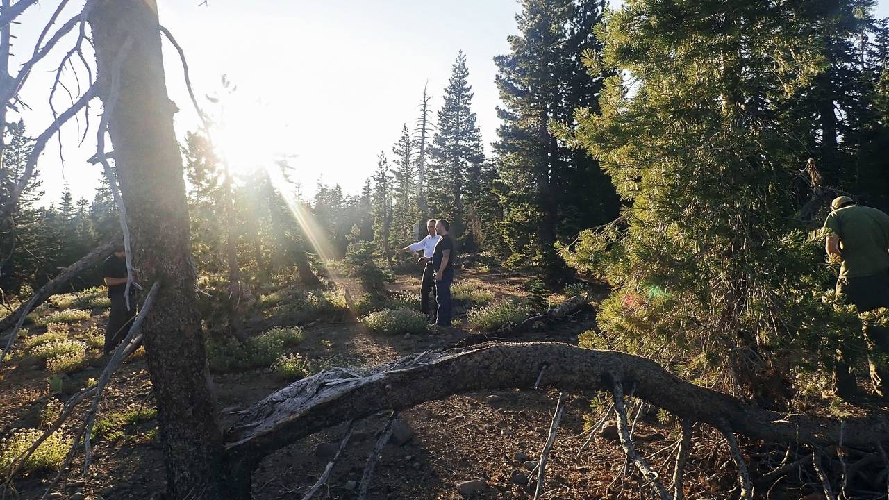 Le tueur du zodiac : la traque (Documentaire) où regarder TV, Replay ...