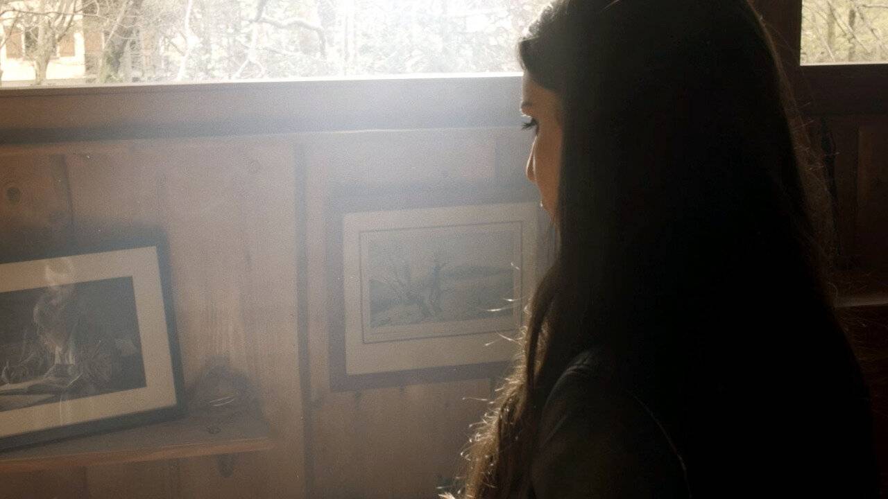 Retour aux sources - Film (2021)