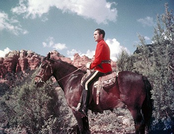 Casting La dernière flèche : acteurs, réalisateur