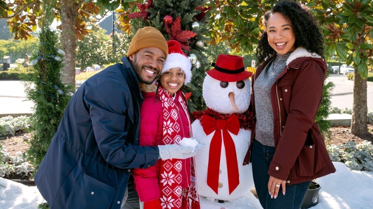 Merry Liddle Christmas Wedding (Téléfilm) où regarder TV, Replay, Streaming