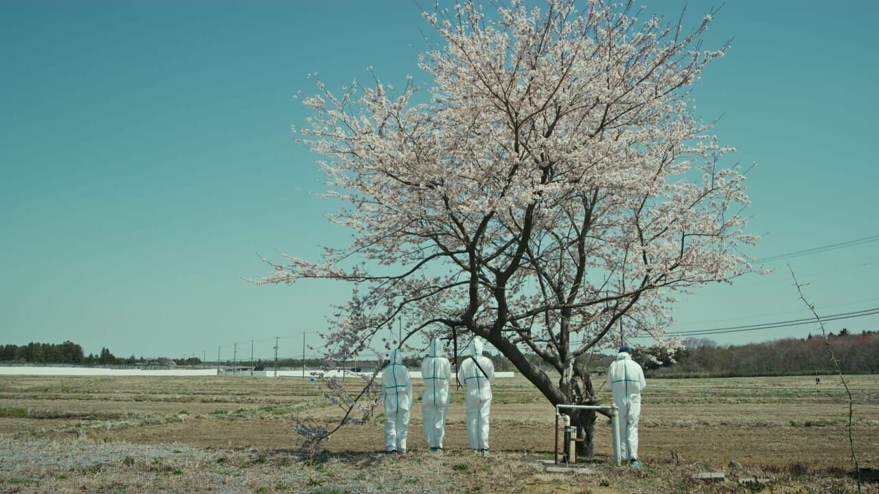 I'm so Sorry - Documentaire (2021)