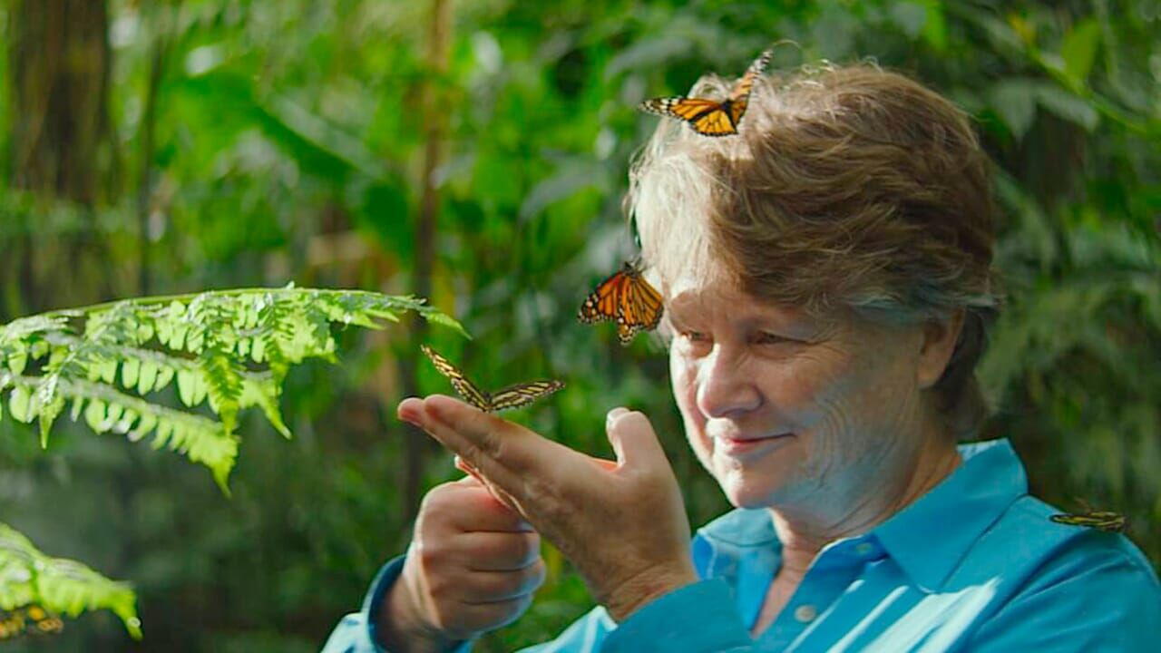 Et si le monde tournait rond ? (Documentaire) où regarder…