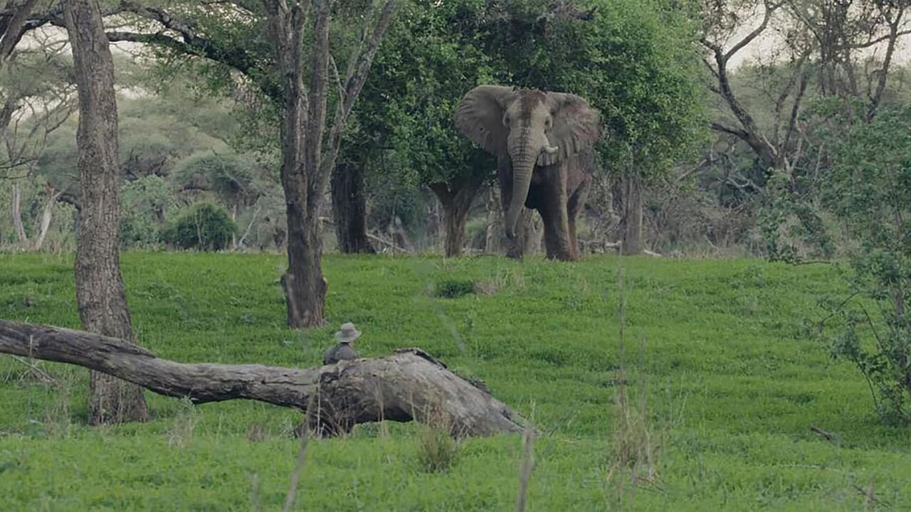 Ivan Carter : héros de la vie sauvage Legacy (Documentaire)…