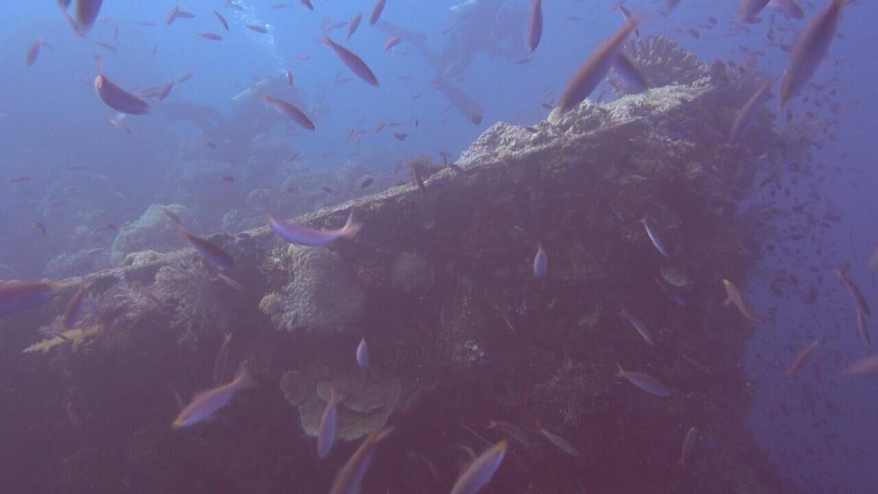 Les secrets engloutis Les secrets des épaves de guerre (Documentaire ...