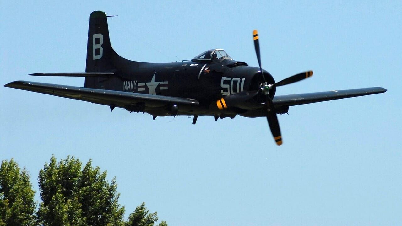 Les légendes de l'aviation de guerre Douglas A-1 Skyraider, le super spad (Documentaire) où ...