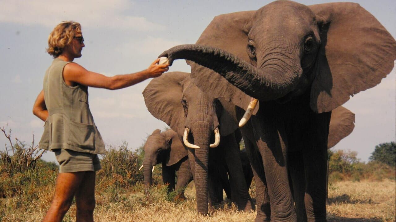 Une vie parmi les éléphants - Documentaire (2024)