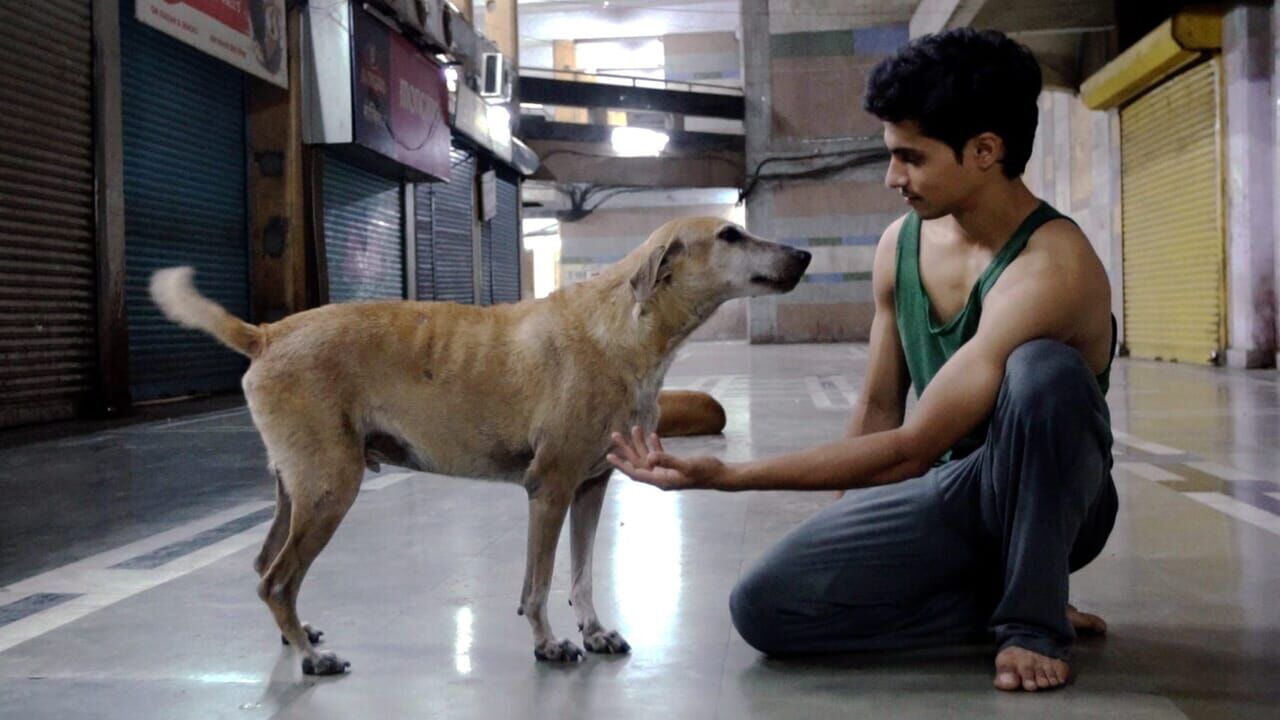 Call Me Dancer : sur les pointes de Mumbai à New-York - Documentaire (2022)