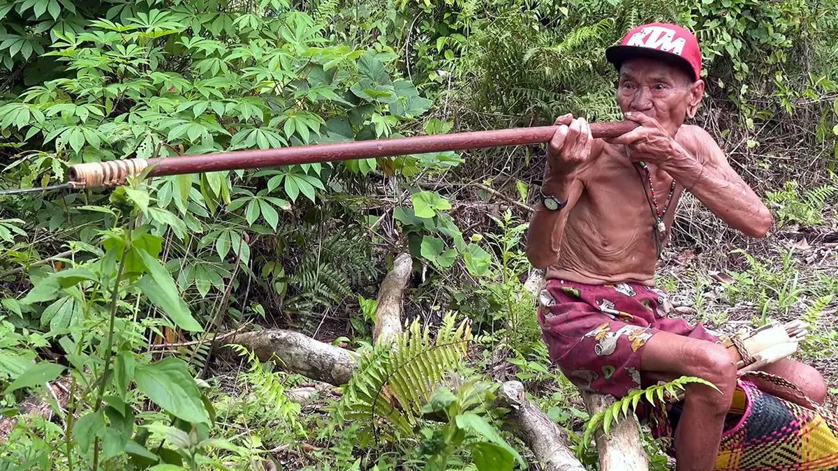 Les Penan, survivre à Bornéo (Documentaire) où regarder TV, Replay ...