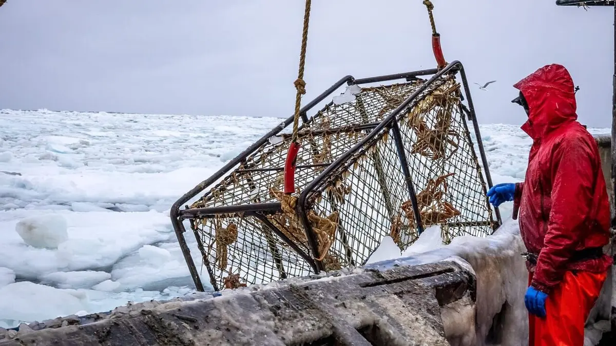 Péril en haute mer Banquise oblige (Documentaire) où regarder TV ...