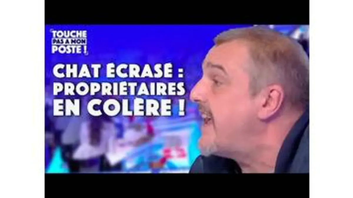 Touche pas à mon poste ! replay du 27/01/2023 : Chat écrasé par un ...