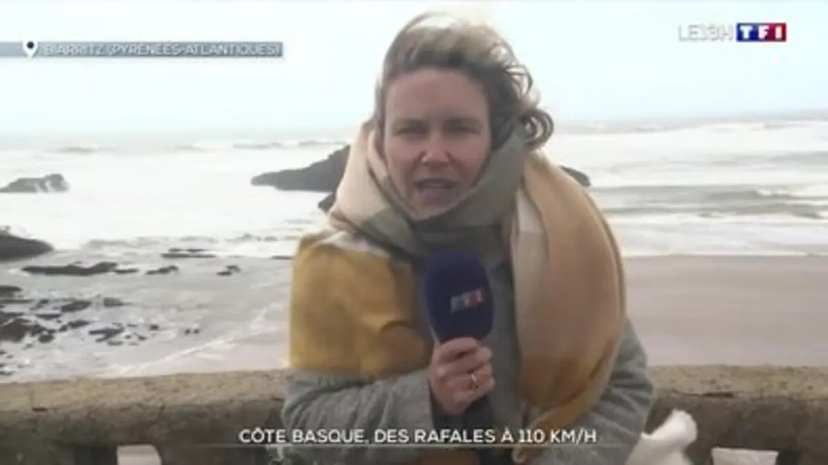 Journal de TF1 replay du 12/02/2024 : Côte Basque : des rafales à 110 km/h