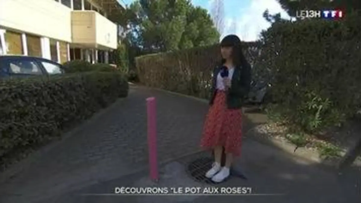 Journal de TF1 replay du 20/03/2023 : Découvrons "le pot aux roses"