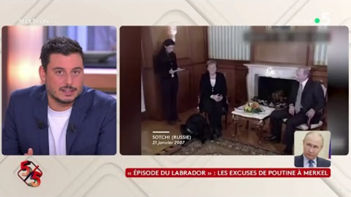 C à vous replay du 29/11/2024 : « Épisode du labrador » : les excuses ...