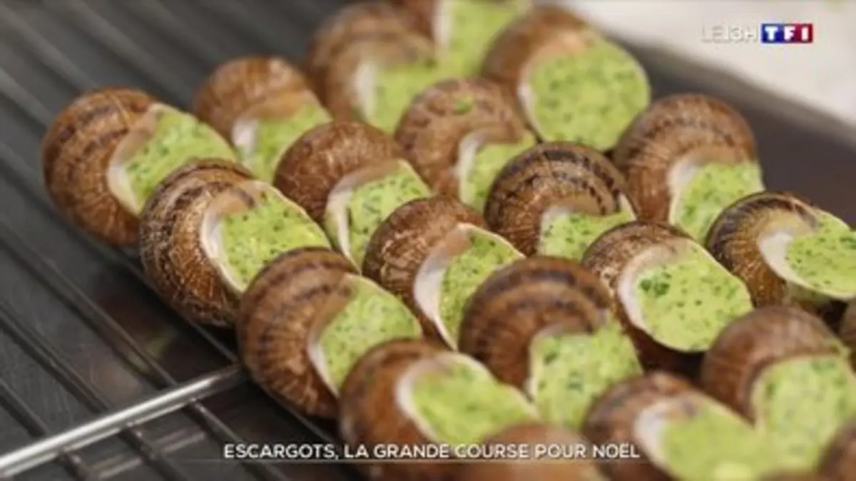Journal de TF1 replay du 22/11/2024 : Escargots : la grande course pour ...