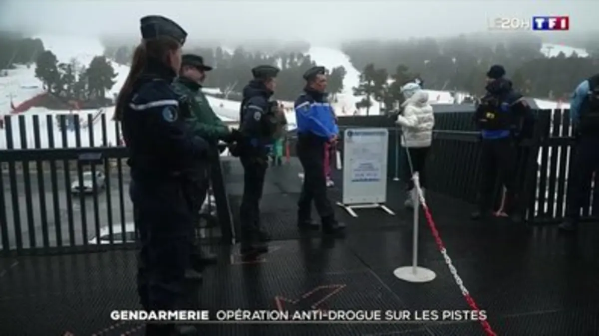 Journal de TF1 replay du 22/02/2025 : Gendarmerie : opération anti ...