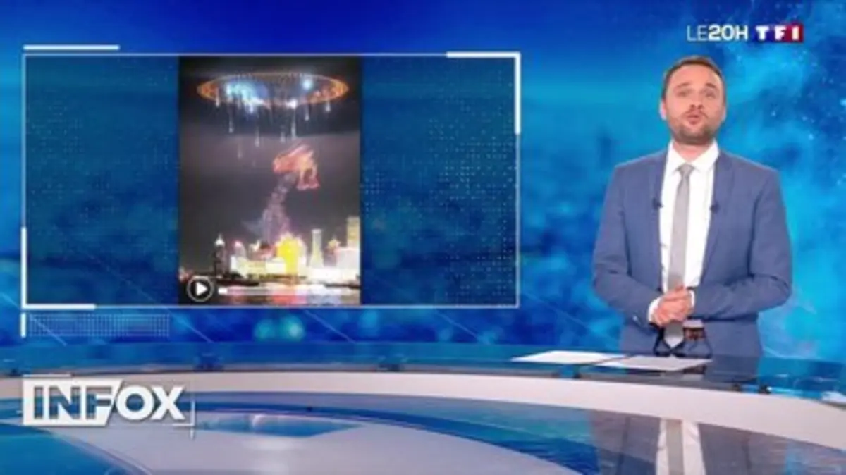 Journal de TF1 replay du 04/01/2025 : Info / infox : pourquoi les ...