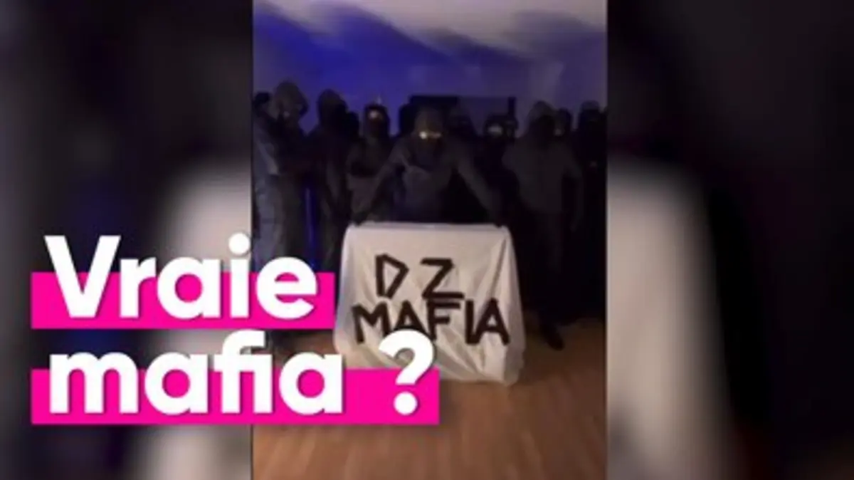 TF1 replay du 24/10/2024 : La DZ Mafia s’étend en France, jusqu’où