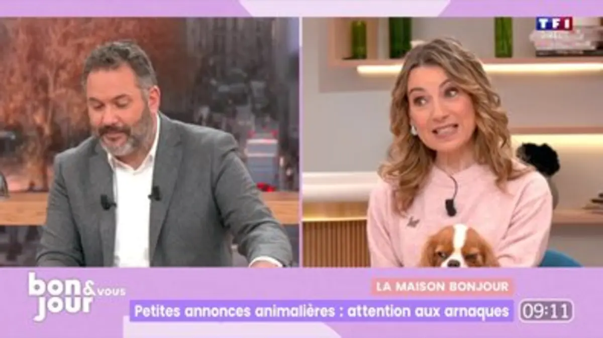 Bonjour ! La Matinale TF1 replay du 12/11/2025 : La maison Bonjour ...