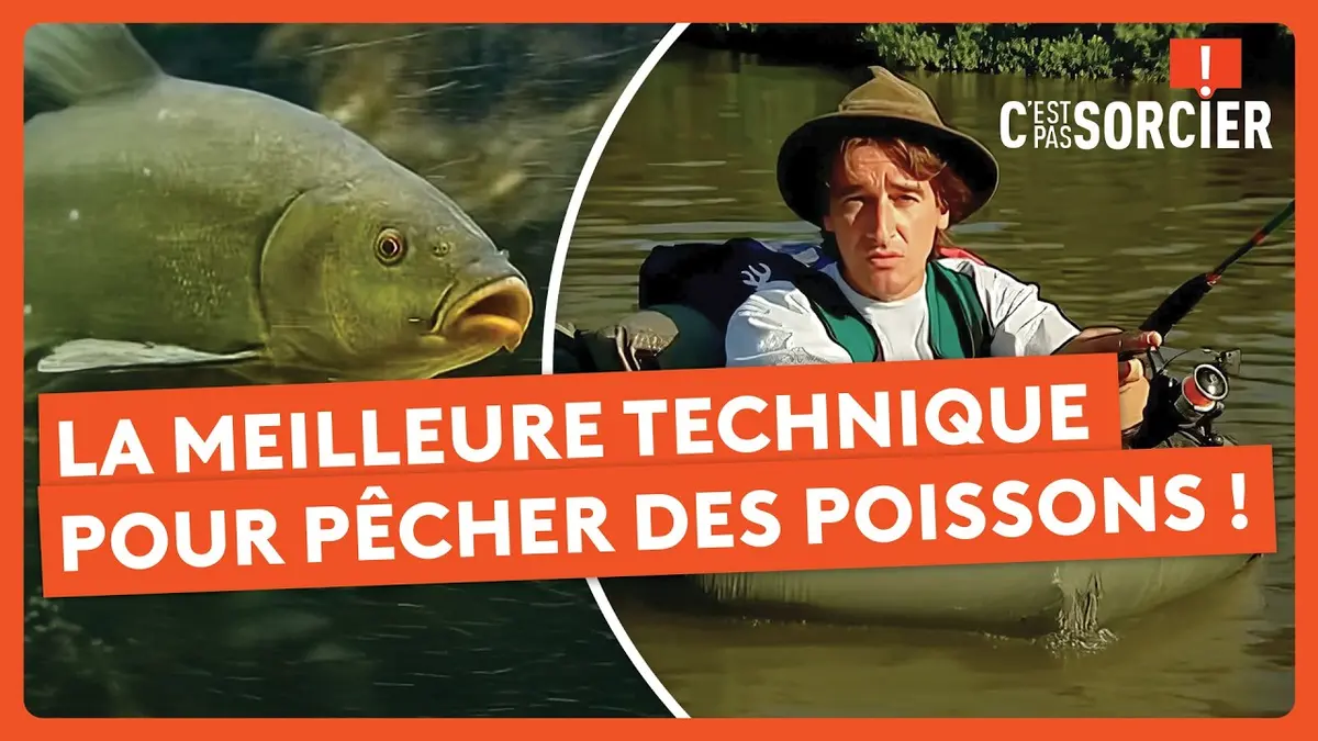 C'est pas sorcier replay du 04/05/2025 : La meilleure technique pour ...