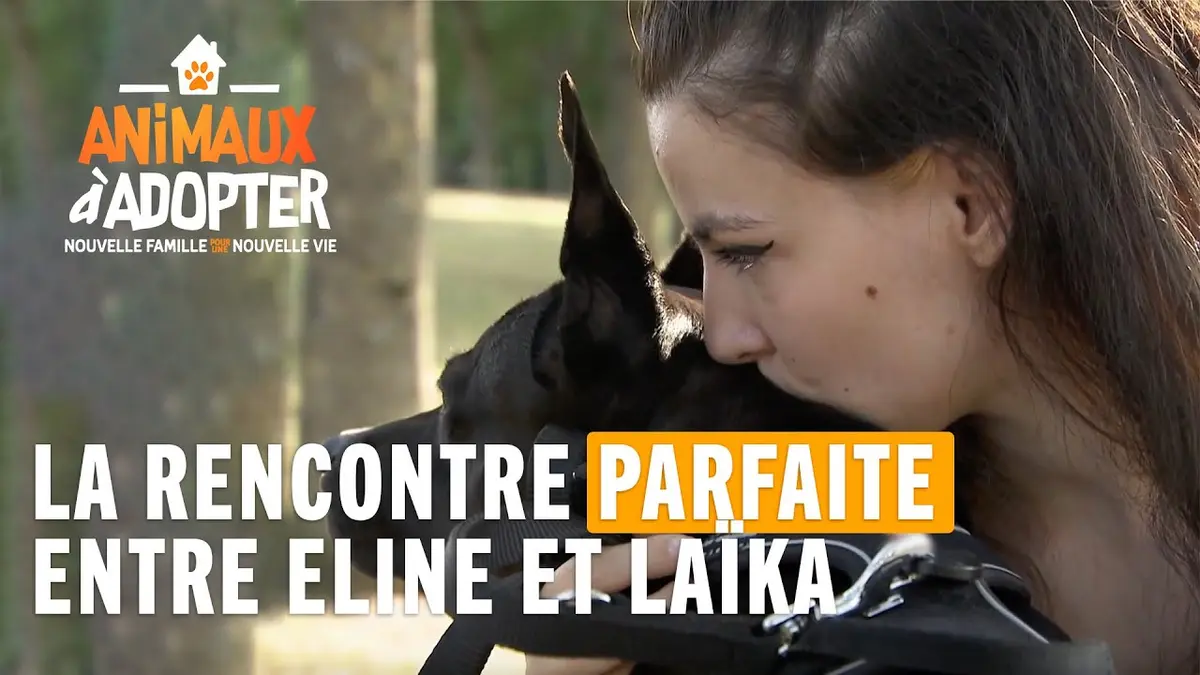 Replay Animaux à adopter : nouvelle famille pour une nouvelle vie du 16/12/2023 : La rencontre…