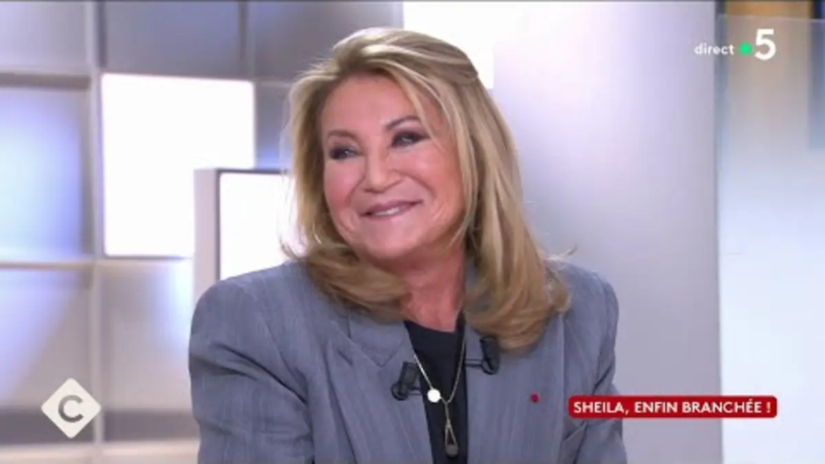 Le pitch cinéma replay du 23/04/2025 : Le retour de Sheila - C à Vous l ...