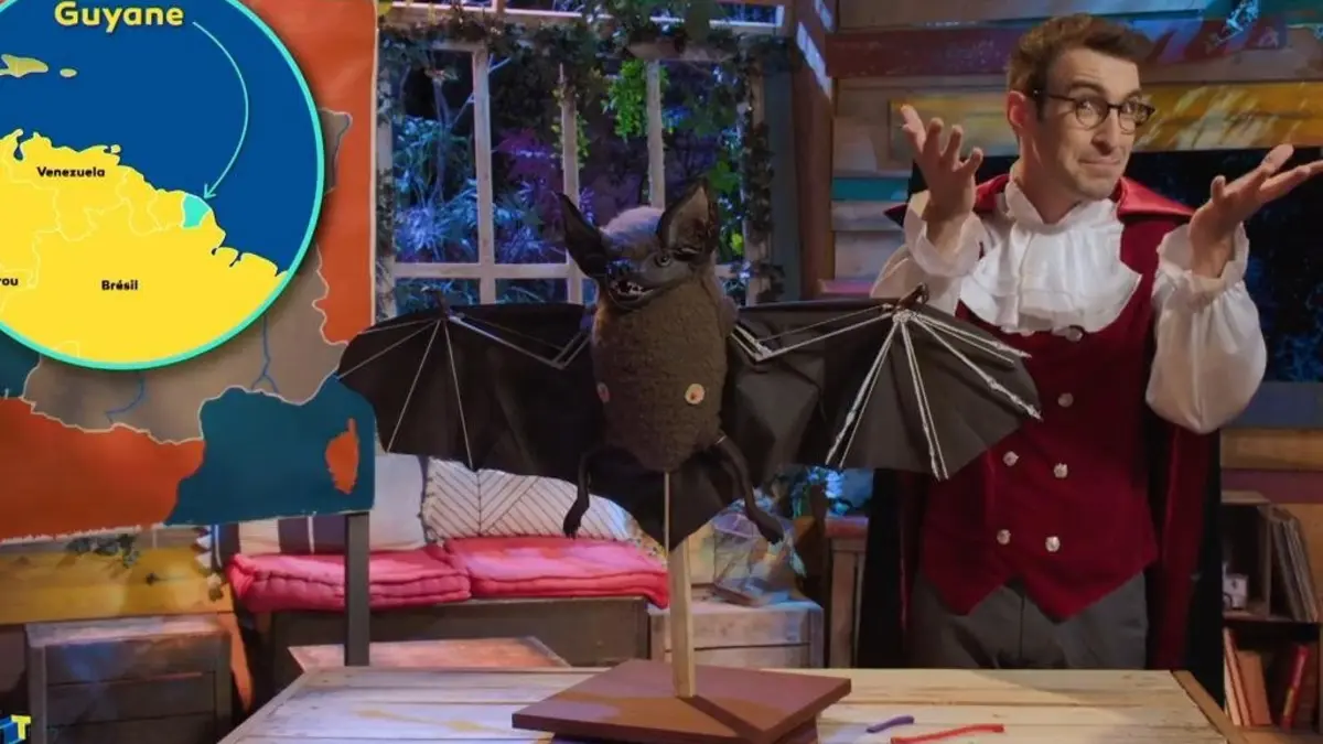 C'est toujours pas sorcier replay du 26/10/2021 : Les chauves-souris ...