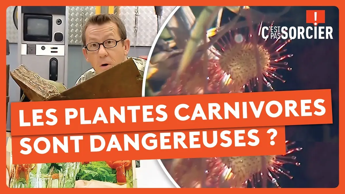 C'est pas sorcier replay du 02/01/2026 : Les plantes carnivores sont ...