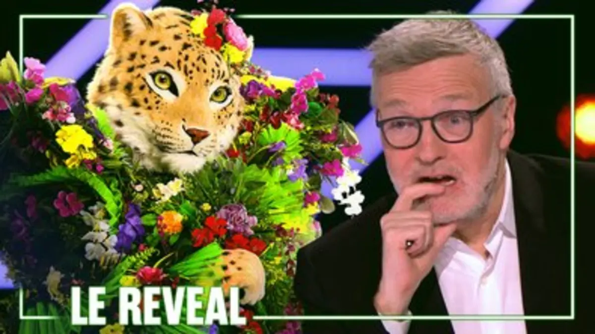 Mask Singer replay du 22/06/2024 : Mask Singer 2024 - Qui se cache sous ...