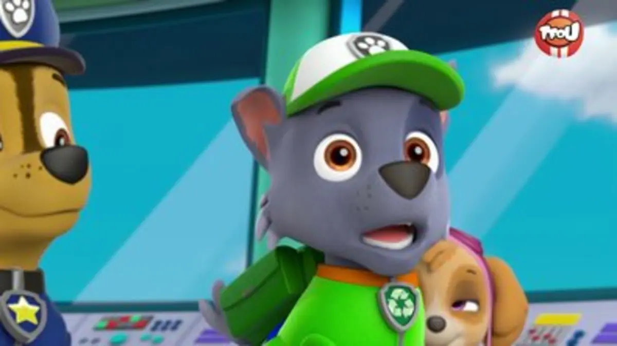 TFou replay du 29/05/2024 : Paw Patrol, la Pat'Patrouille - Alex et sa ...