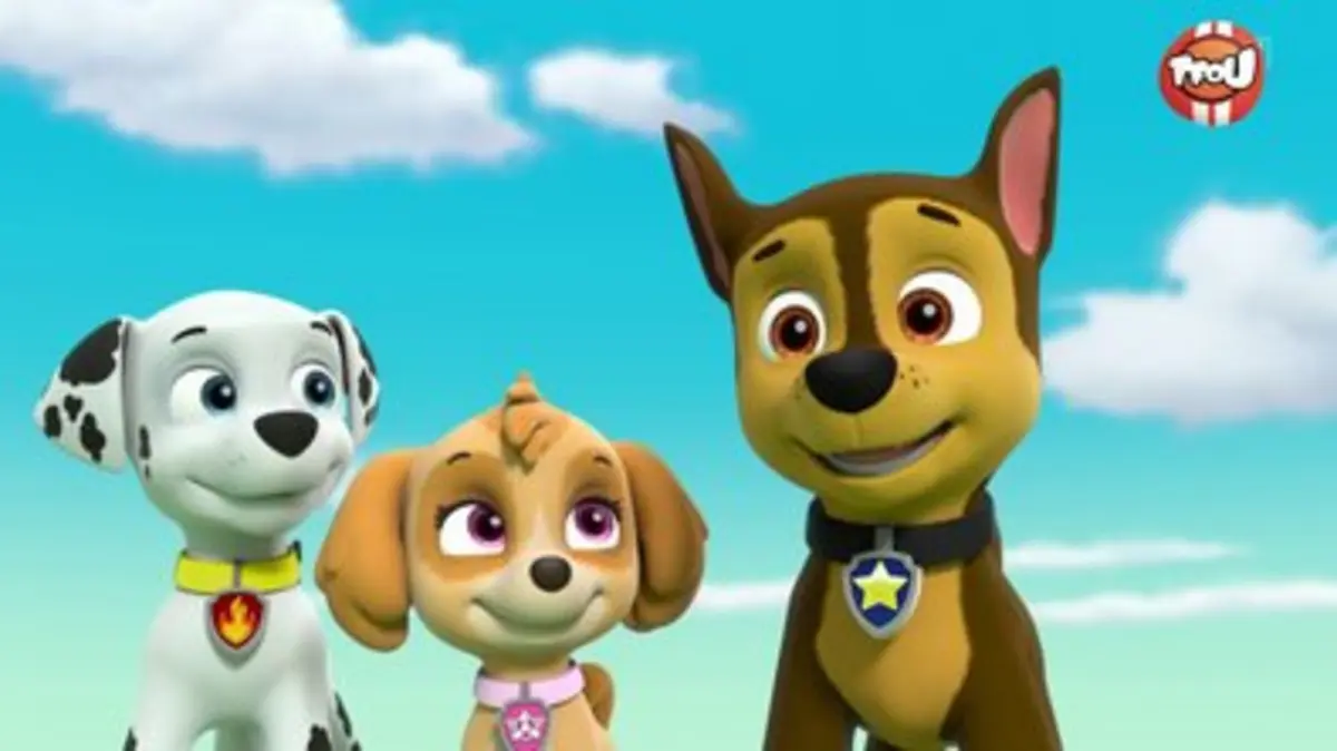 TFou replay du 31/01/2024 : Paw Patrol, la Pat'Patrouille - Le Hippo ...