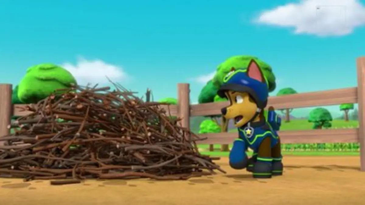 TFou replay du 01/04/2025 : Paw Patrol, la Pat'Patrouille - Les trois ...