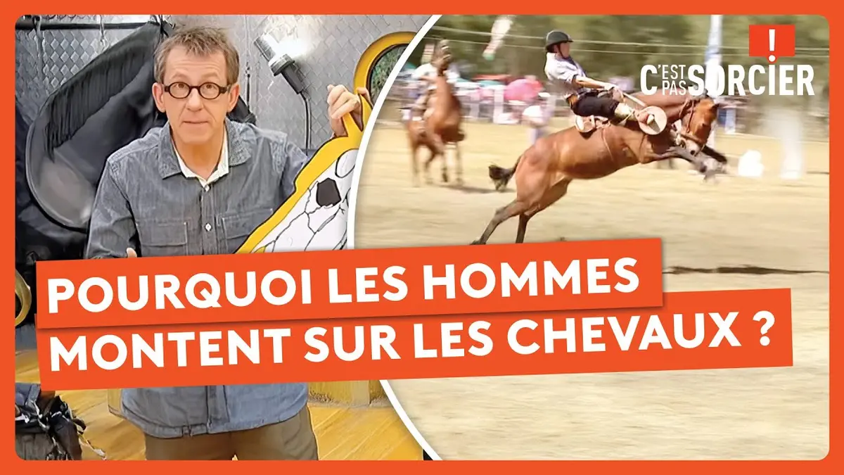 C'est pas sorcier replay du 09/10/2025 : Pourquoi les hommes montent ...