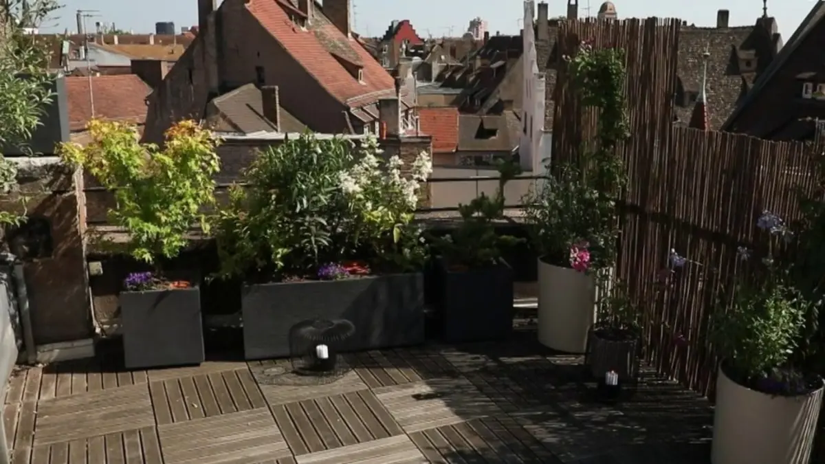 Silence, ça pousse ! replay du 08/11/2025 : Silence, ça pousse