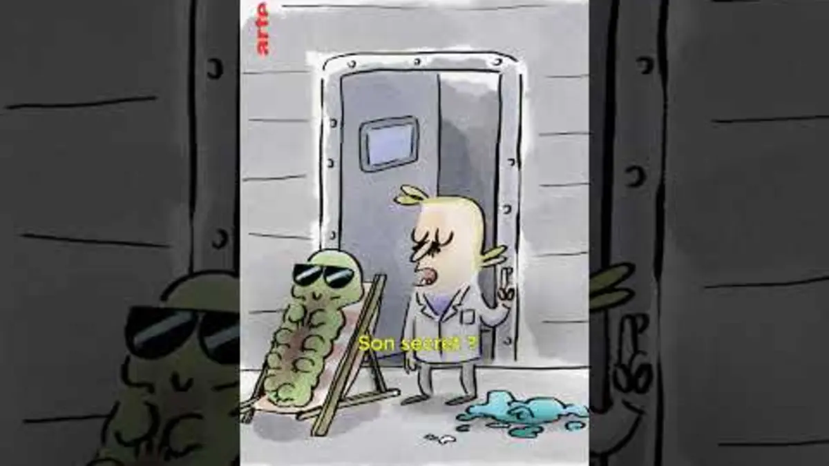 Tu mourras moins bête replay du 20/11/2025 : Tardigrade express ?? # ...
