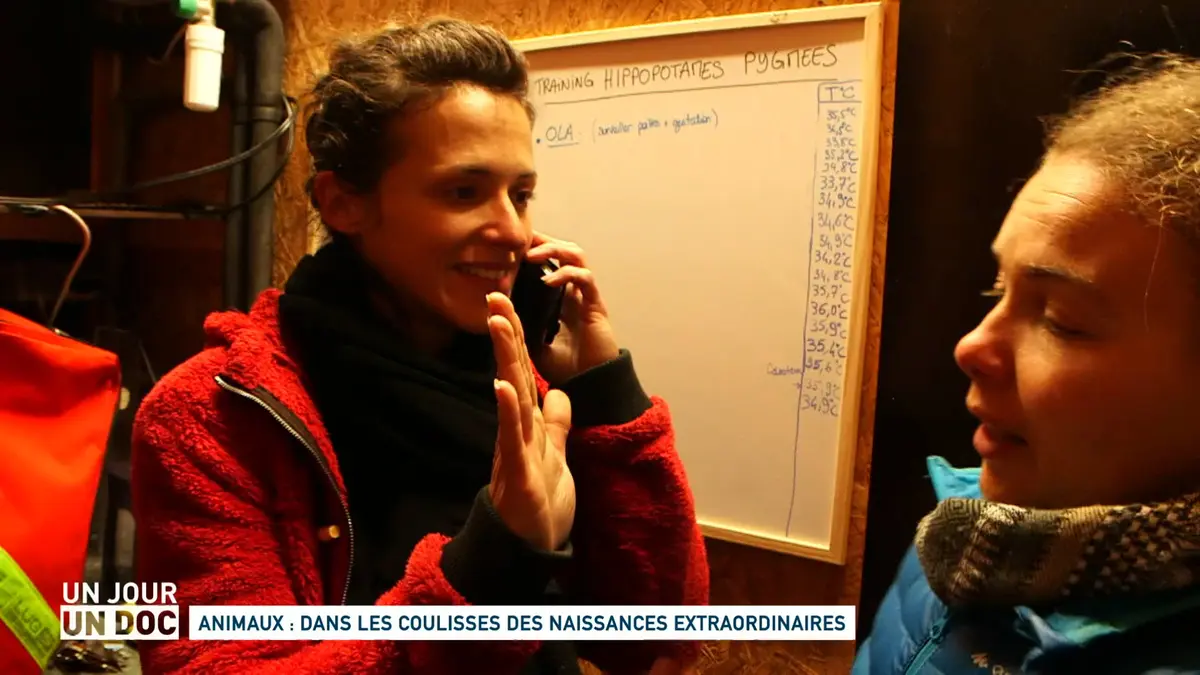 Un jour, un doc replay du 12/02/2025 : Un jour, un doc : Animaux : dans ...
