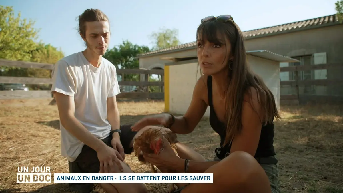 Un jour, un doc replay du 25/10/2023 : Un jour, un doc : Animaux en danger : ils se battent pour…