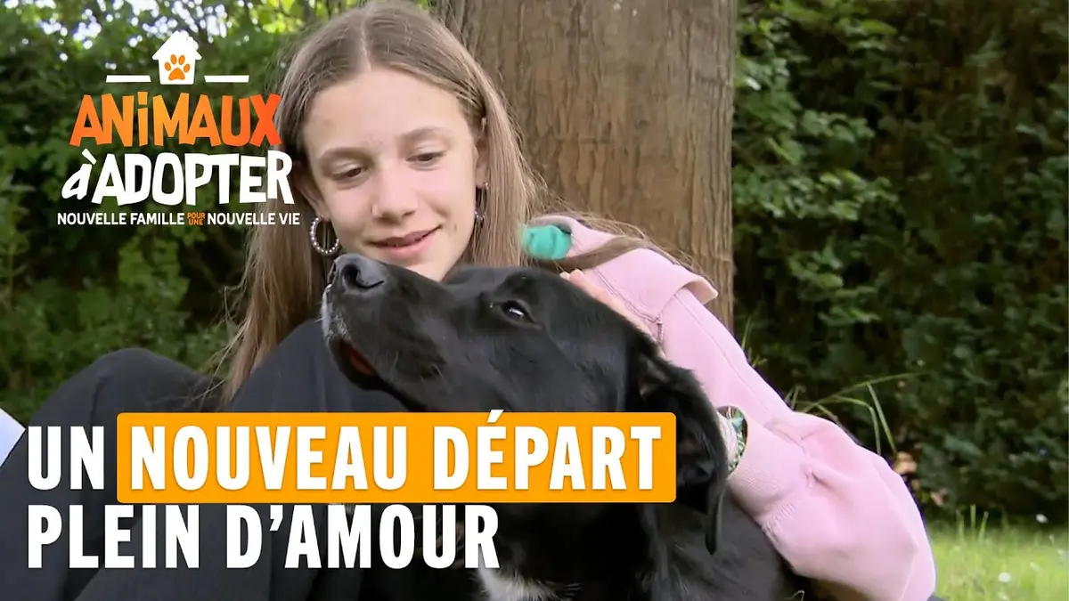 Animaux à adopter : nouvelle famille pour une nouvelle vie replay du 27/10/2024 : Un nouveau départ…