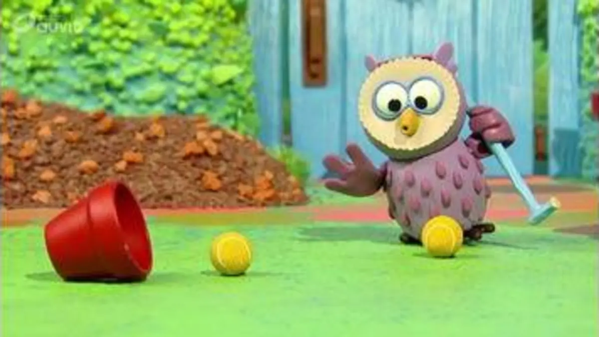 Replay Voici Timmy du 17/03/2018 : Voici Timmy