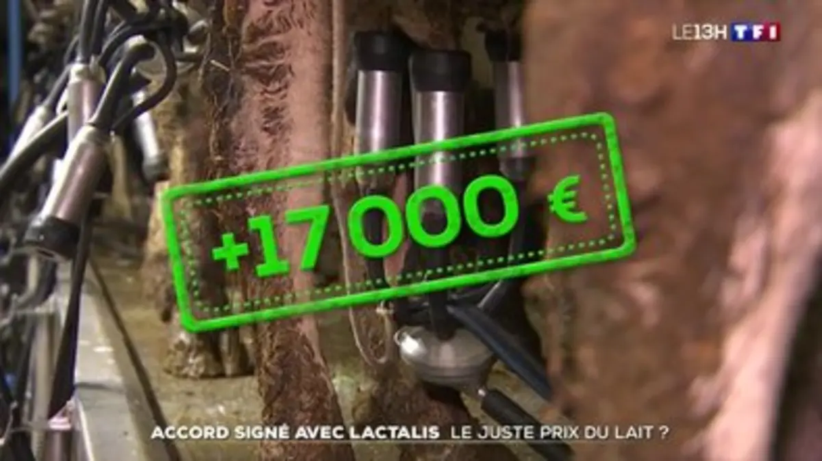 Replay Journal de TF1 du 02/03/2024 : Accord signé avec Lactalis : le ...