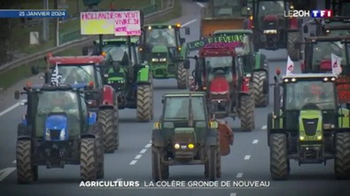 Replay Journal de TF1 du 13/11/2024 : Agriculteurs : la colère gronde de nouveau