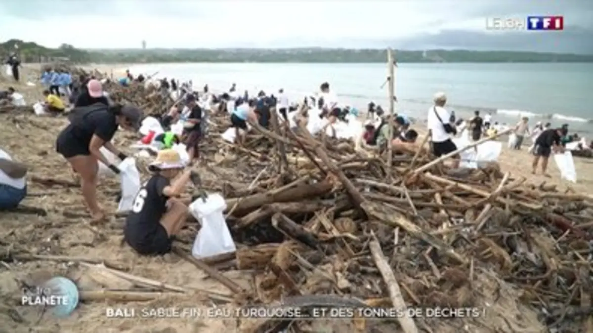 Replay Journal de TF1 du 05/01/2025 : Bali : sable fin, eau turquoise ...