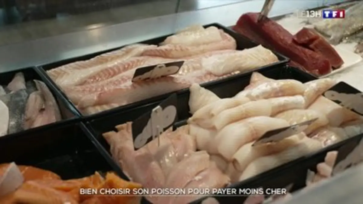 Replay Journal de TF1 du 28/06/2024 : Bien choisir son poisson pour payer moins cher